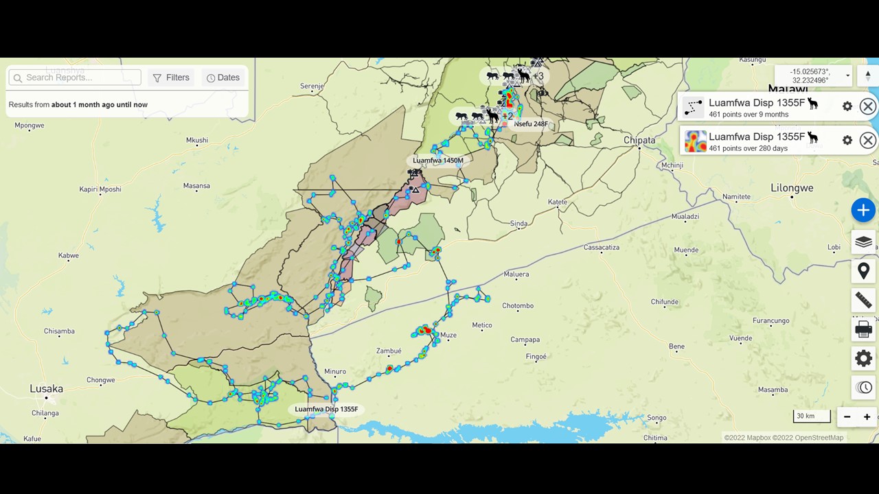 Scott Creel - Scott Creel | Montana State University